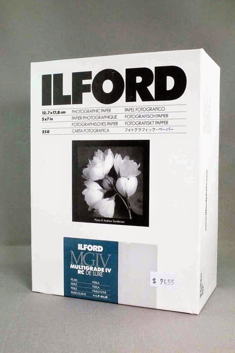 Hello, Old Friends - Ilford Paper – Camera Electronic
