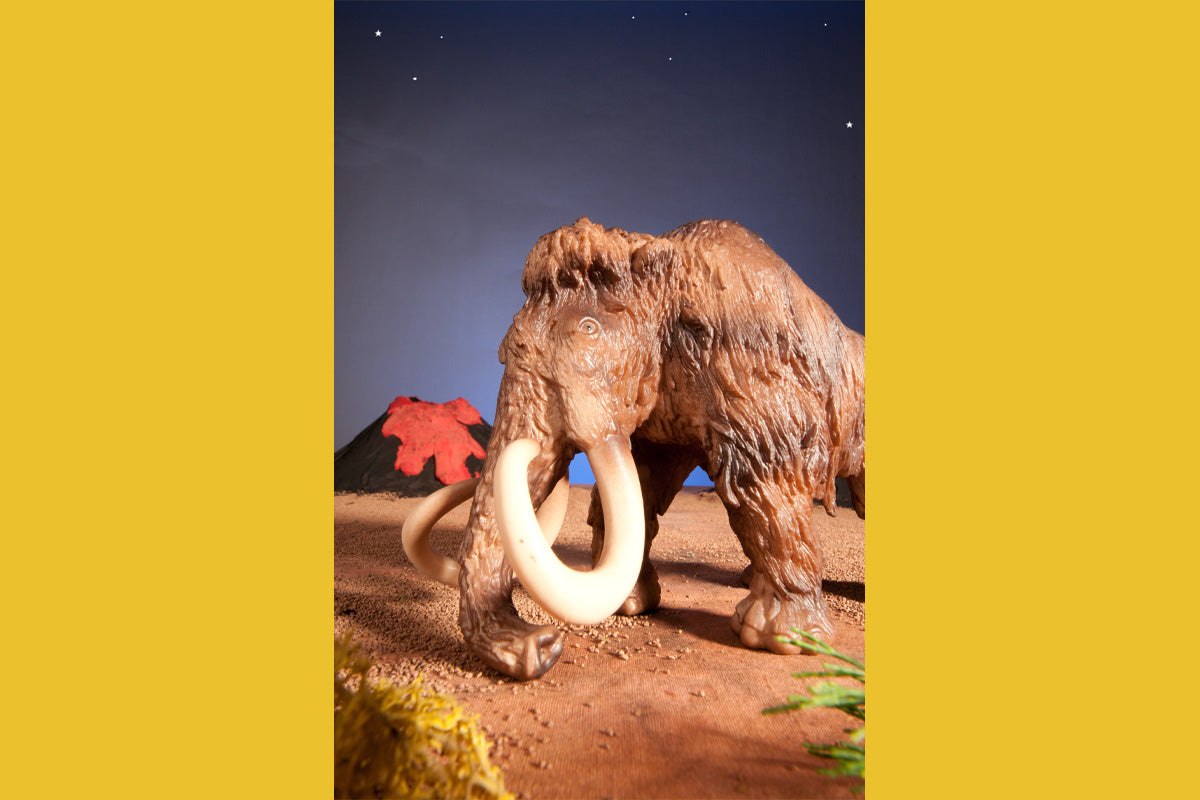 A Gated Community – Camera Electronic