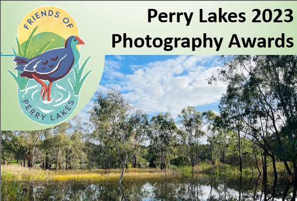 Friends of Perry Lakes Photographic Competition – Camera Electronic