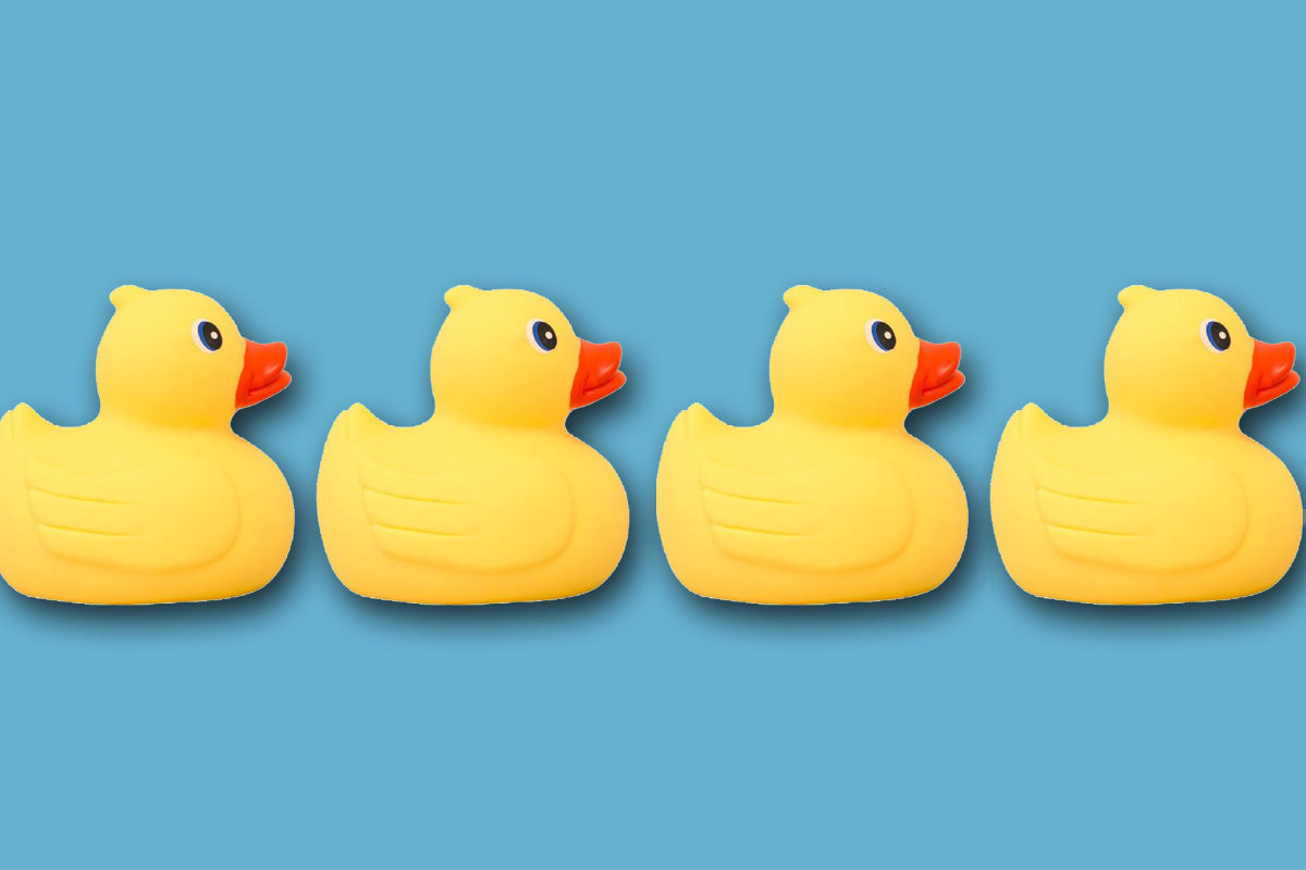 The Duck Row – Camera Electronic