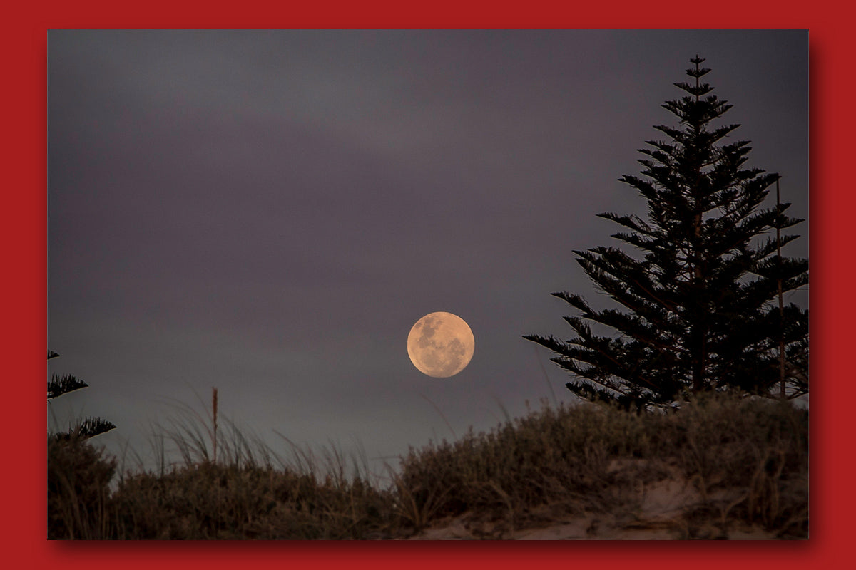 Two SuperMoons to light up your Sky this Month – Camera Electronic