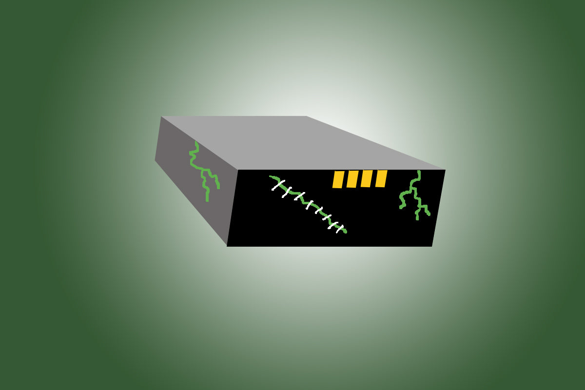 Daniel Ray And The Zombies... – Camera Electronic