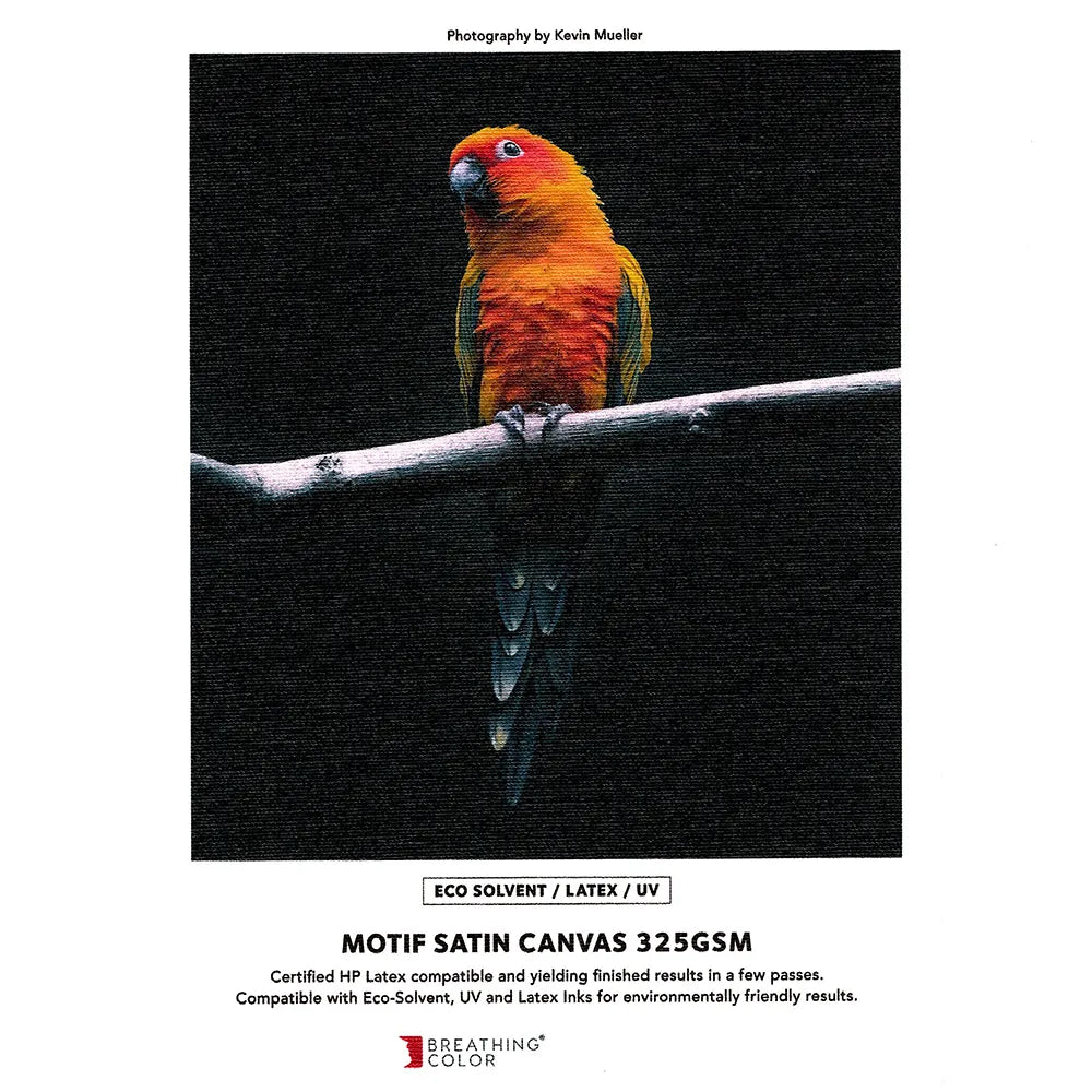 Breathing Color Motif Satin 325GSM Paper Roll - 54'' – Camera Electronic