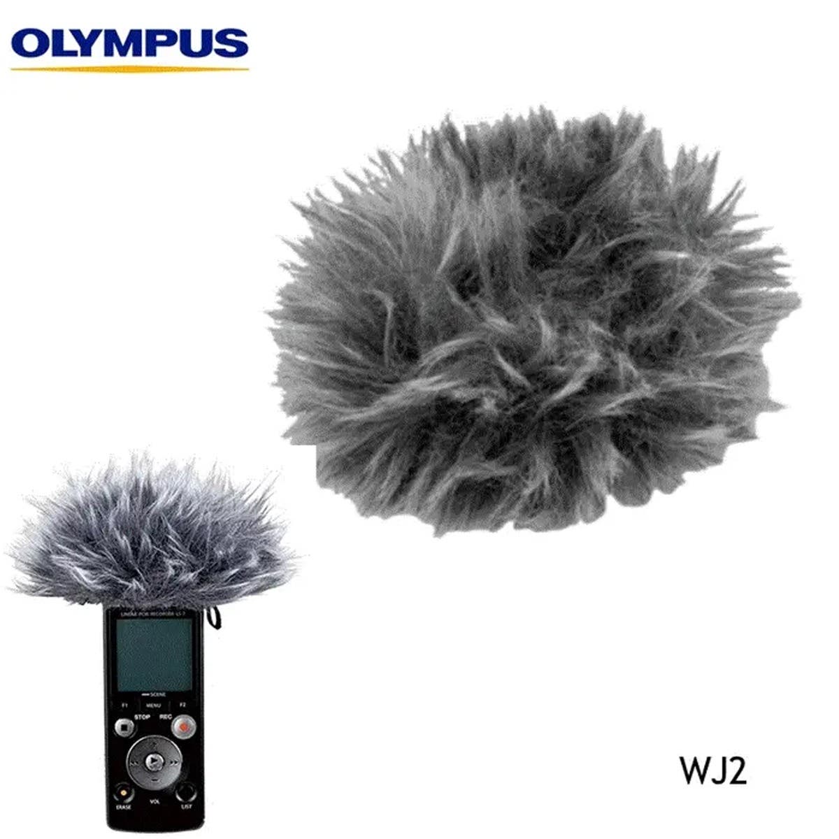 Olympus WJ2 Windjammer for LS-P2 & LS-P4 – Camera Electronic